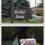 New York ~ Becker Farms & Vizcarra-Vineyards - vacationmaybe.com