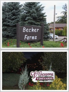 New York ~ Becker Farms & Vizcarra-Vineyards - vacationmaybe.com